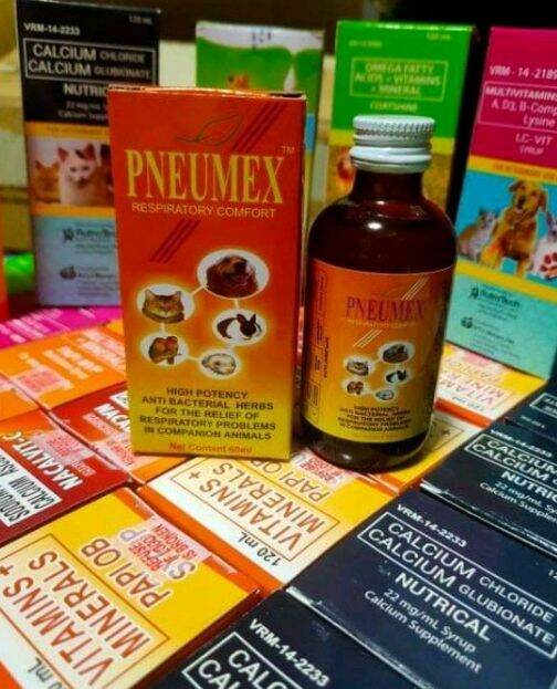 PNEUMEX SYRUP Respiratory Comfort 60ml | Lazada PH