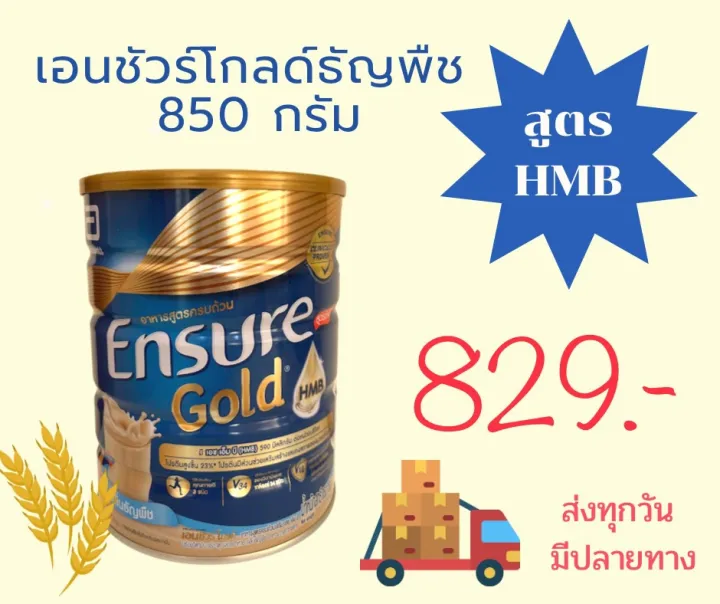 เอนชัวร์โกลด์ธัญพืช 850 กรัม หมดอายุ 2024(Ensure gold HMB wheat 850g) | Lazada.co.th