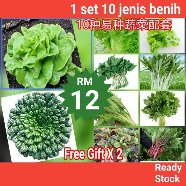 （10 in 1 set）VEGETABLE SEED BIJI BENIH SAYUR BUAH .1set 10 jenis biji ...