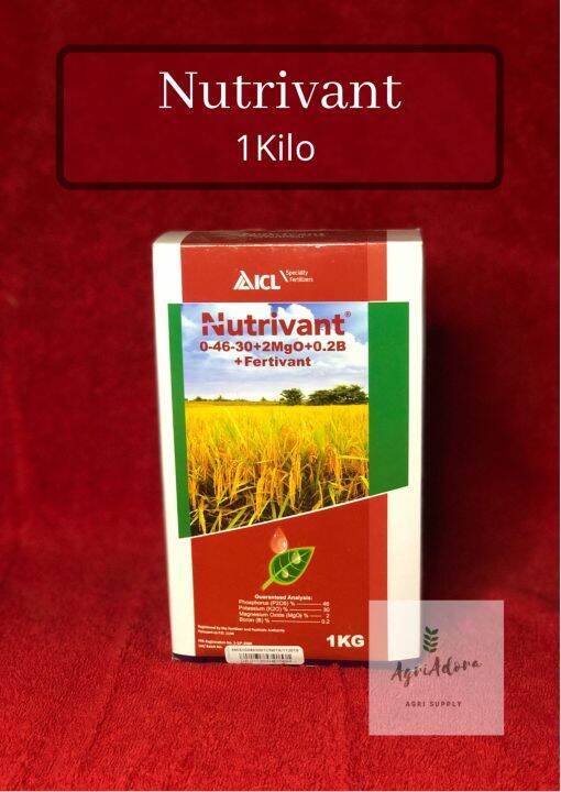 Nutrivant Plus 0-46-30 Foliar Fertilizer 1 Kilo (AICL) | Lazada PH