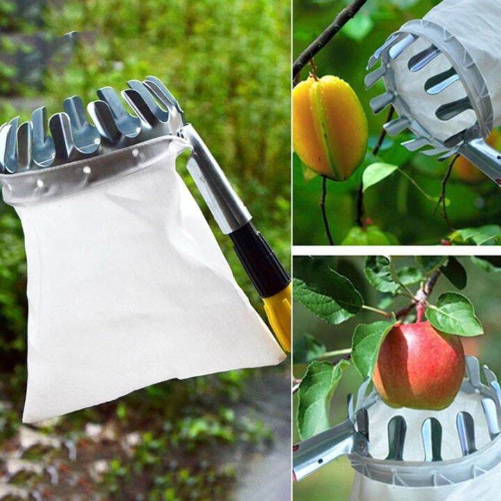 Alat Petik Pemetik Buah Logam Untuk Pertanian / Kebun / Alat Petik Buah ...