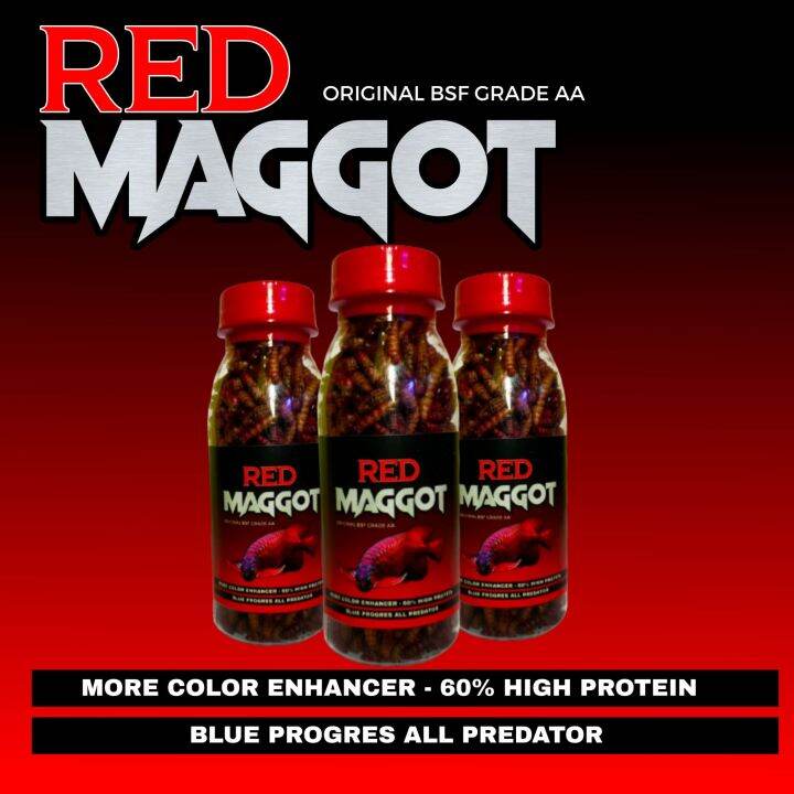 Red Maggot Maggot Kering Kemasan Botol 100 ml | Lazada Indonesia