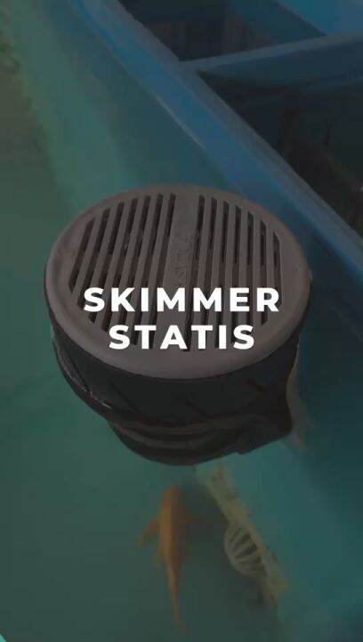 Skimmer Koi Kolam Koi 3 ke 1 1/2 inch Saringan Kolam skimer Kolam ...