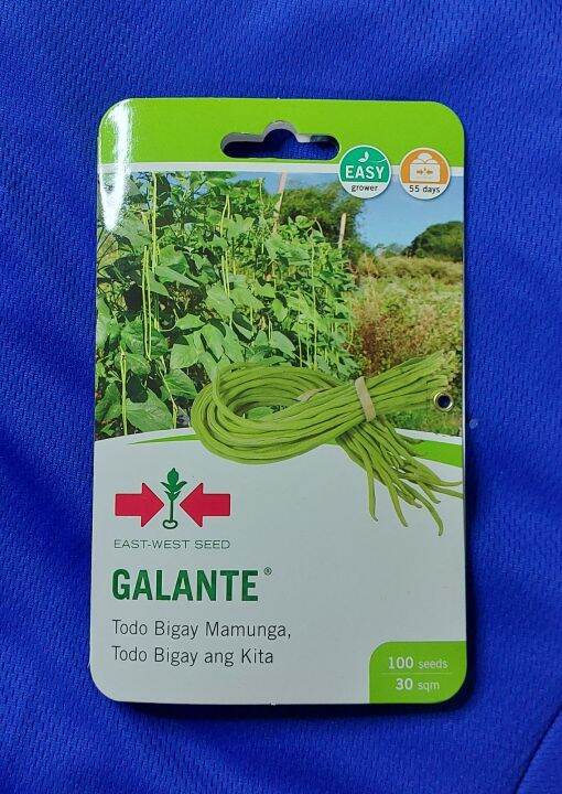 Galante (100 seeds) Pole Sitao / Sitaw by East West | Lazada PH