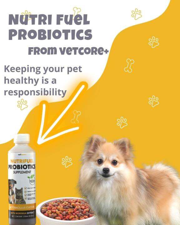 Vet Core+ Nutrifuel (Probiotic Supplement for Dogs and Cats) 250ml ...