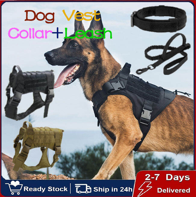 German Shepherd Tactical Vest