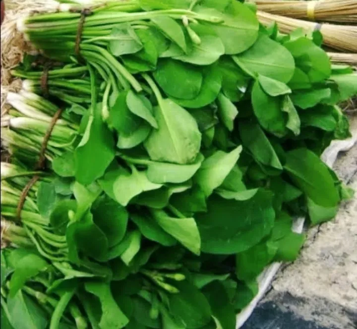 SAYURAN GENJER/GENOT SIAP DI PASAK (1KG) | Lazada Indonesia