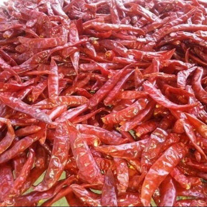 Cabe Merah Teja Cabai Merah Kering Super Pedas Masih Fresh Packing ...