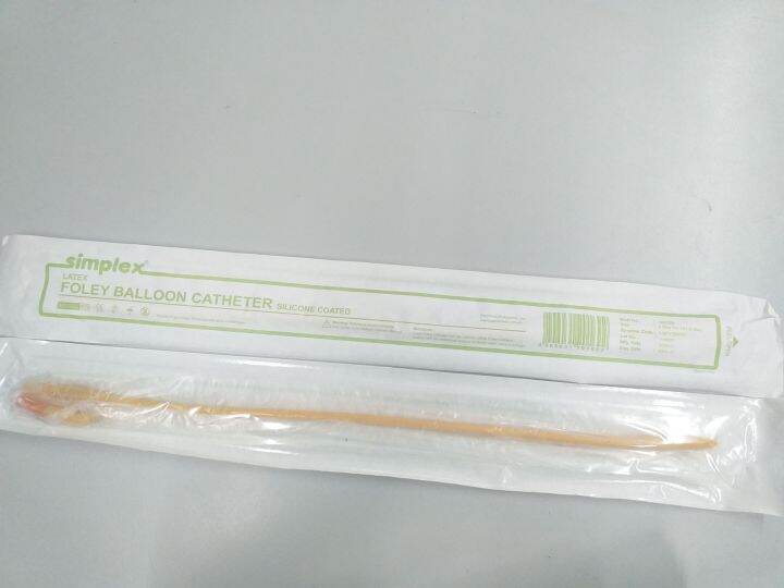 foley catheter french 16 simplex | Lazada PH