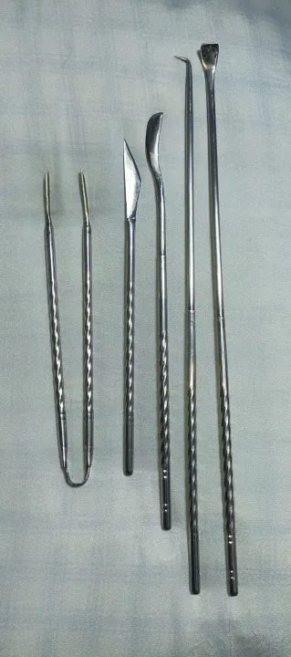 5pcs Mushroom Inoculation Tools | Lazada PH