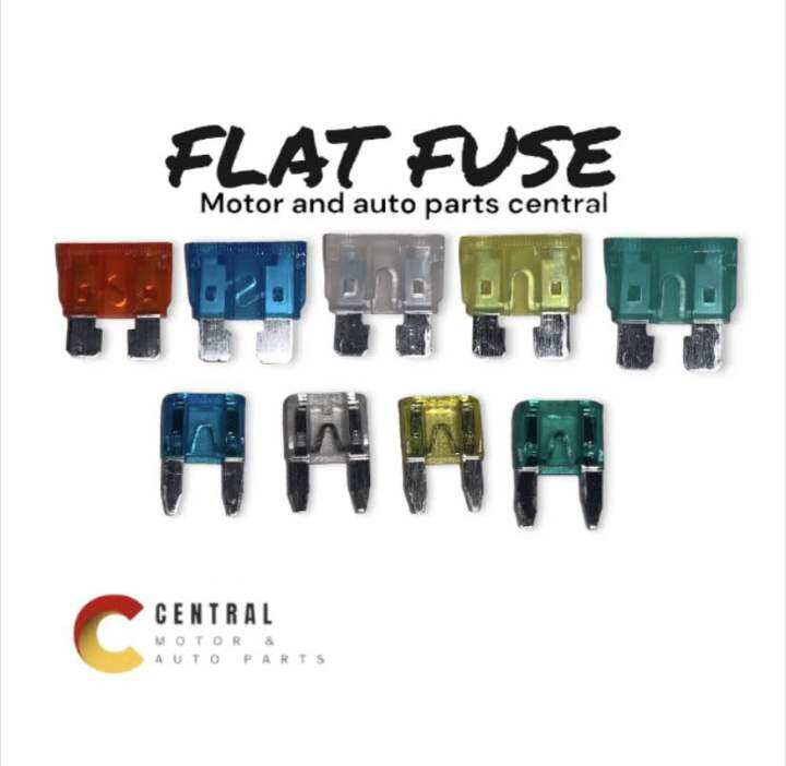 [10PCS] FLAT FUSE STANDARD AND MINI 10A, 15A, 20A, 25A, 30A | Lazada PH