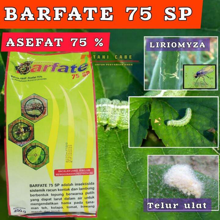 Insektisida BARFATE asefat 75 sp All kemasan | Lazada Indonesia