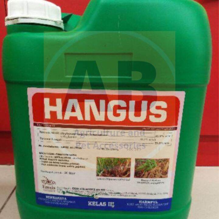 Hangus 20L RACUN RUMPAI, Glyphosate 41% | Lazada