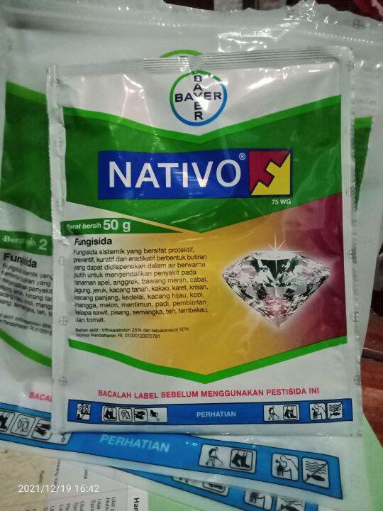 Fungisida Bayer Nativo 75 WG..50 gr | Lazada Indonesia