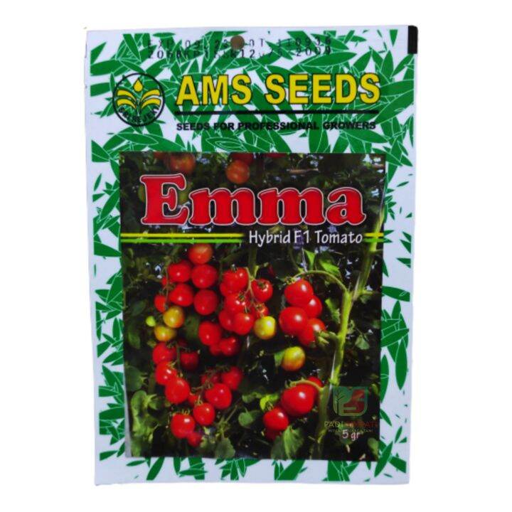 BENIH HIBRADA F1 TOMAT EMMA - 5 GRAM | Lazada Indonesia