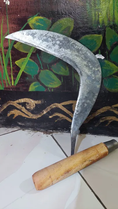 Arit rumput baja isen cap Tapalkuda asli wonosobo | Lazada Indonesia