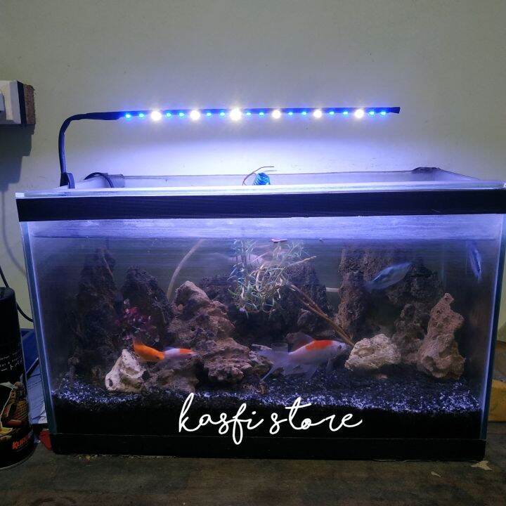 Lampu aquarium 20 mata LED smd biru putih lampu aquascape lampu ikan ...