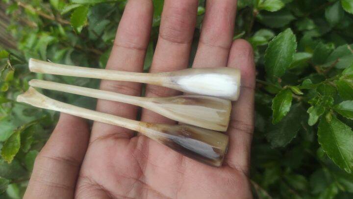 Once Pipa Rokok Tulang Kalong Bule Mini | Lazada Indonesia