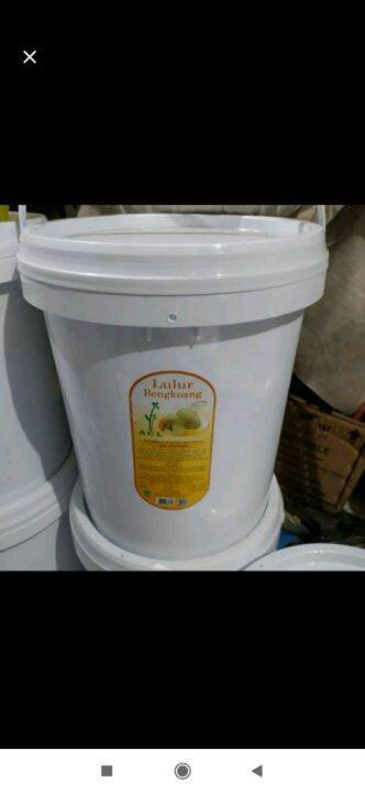 ACL lulur scrub bengkuang per ember isi 18 kg an berikut ember | Lazada ...