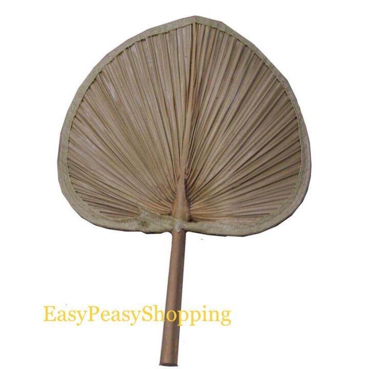 Kipas Satay / Satay BBQ Fan /BBQ Grill Fan (READY STOCK) | Lazada