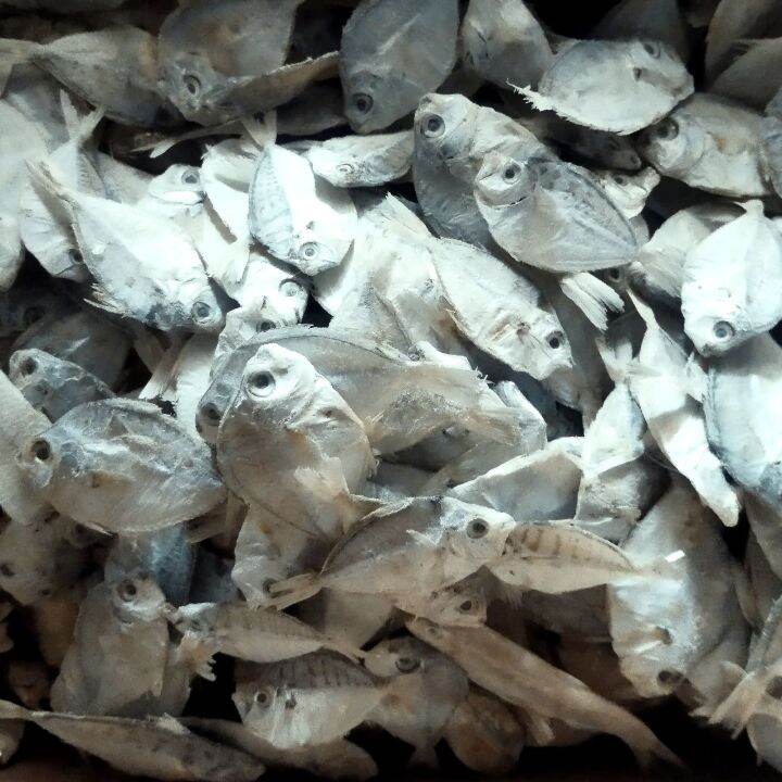 Ikan Asin Petek rucah kering 1kg gurih | Lazada Indonesia
