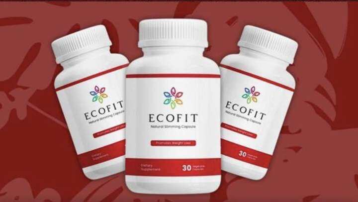 Ecofit -natural slimming capsule 500mg | Lazada PH