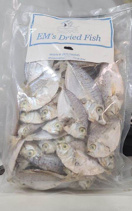 Sapsap Dried Fish 250g Palawan | Lazada PH