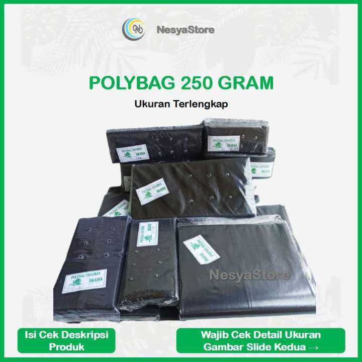 Polybag Polibag Polibek Pot Plastik 250gram 12x15 15x15 18x18 15x20 ...