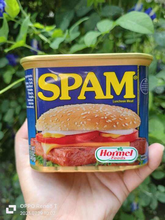Spam Luncheon Meat | Lazada PH