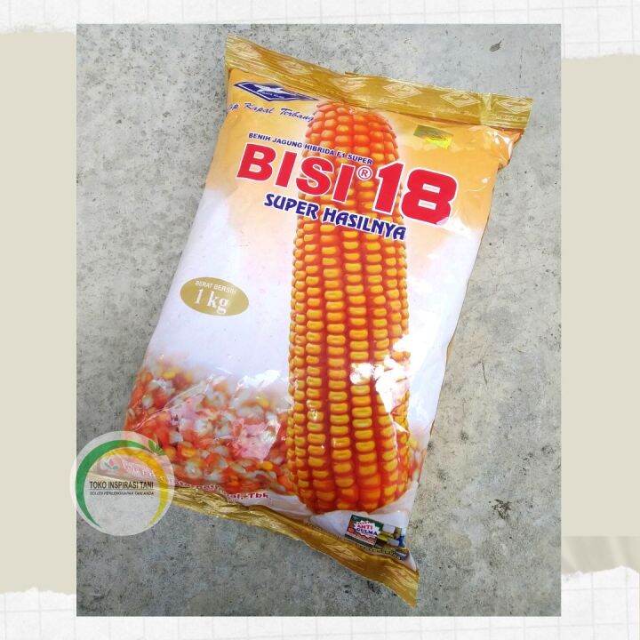 Benih/Bibit Jagung Bisi 18/Jagung Hibrida bisi 18 kemasan 1 kg/Bisi 18 ...