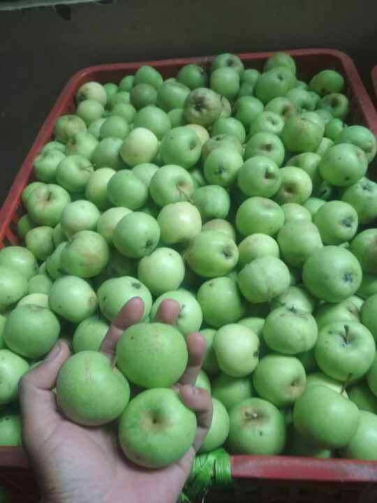 Buah apel mini fresh Batu Malang 1 kg murah | Lazada Indonesia