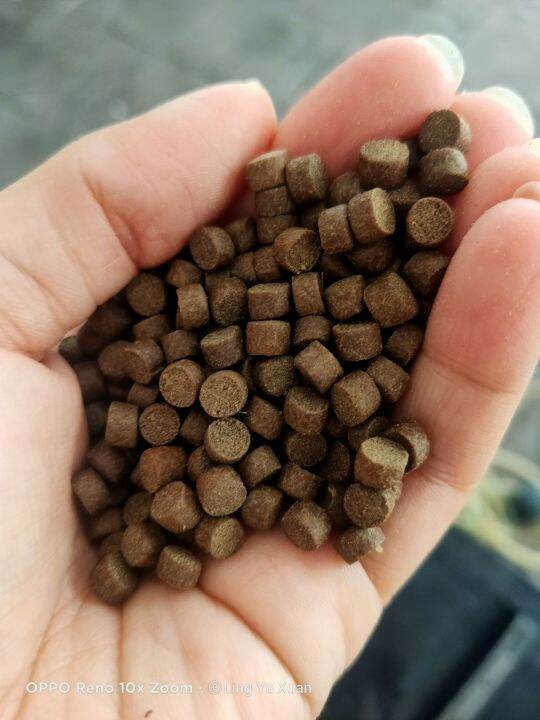 High Protein Sinking Pellet | Lazada