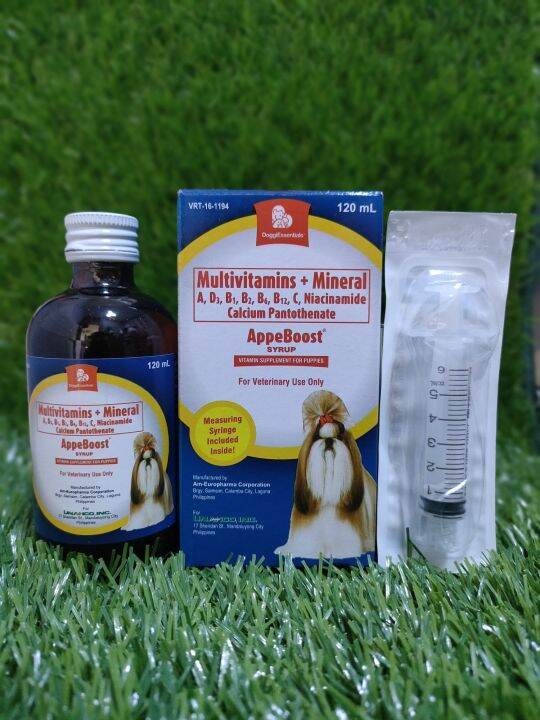 Appeboost Syrup 120ml | Lazada PH