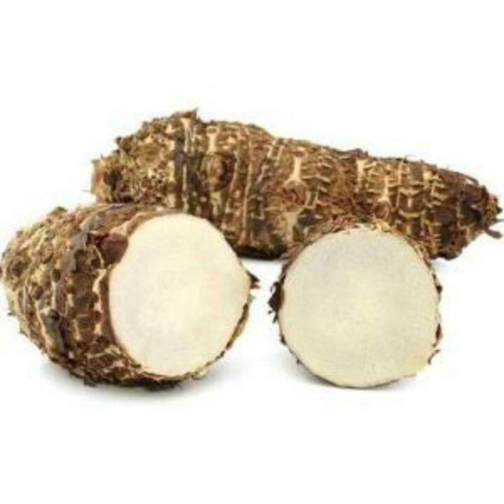 kimpul /talas 1kg | Lazada Indonesia