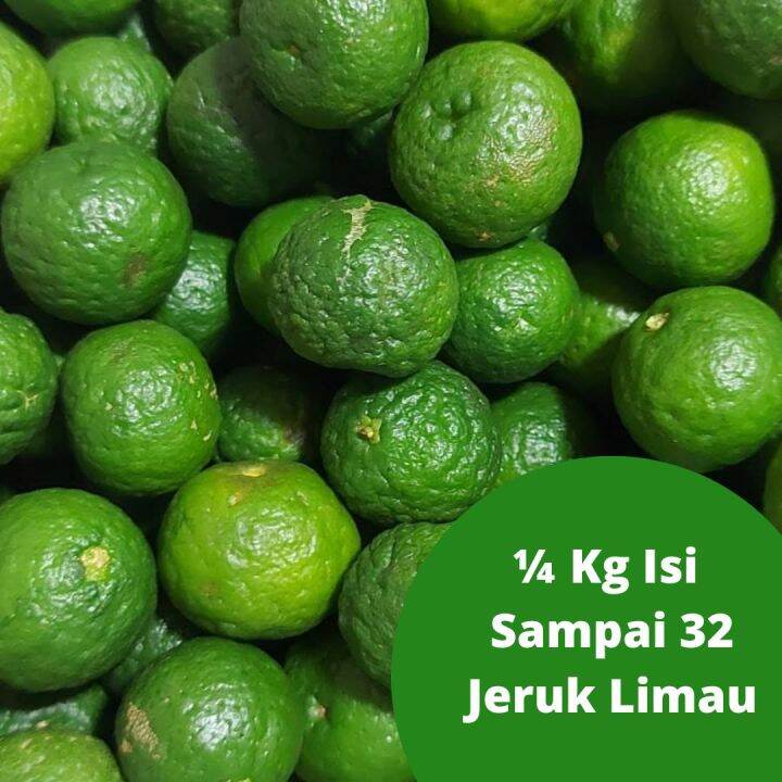 Buah Jeruk Limau Jeruk Limo Hijau Segar Seperempat Kg 250 Gram | Lazada Indonesia