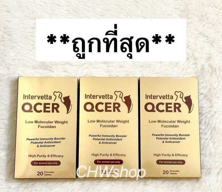 QCER (Exp.12/2023)ผลิตภัณฑ์ต่อต้านมะเร็งและเสริมภูมิคุ้มกันสำหรับสัตว์เลี้ยง (20 เม็ด/กล่อง) มี ...