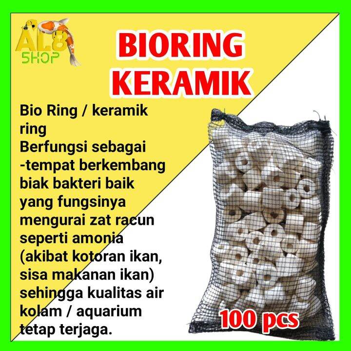 bioring keramik media filter biologis kolam ikan koi | Lazada Indonesia