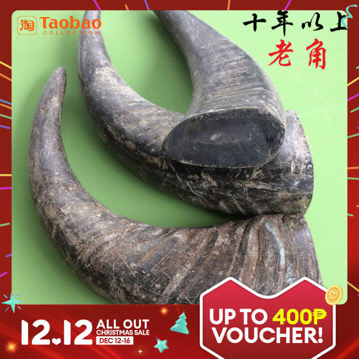 Horn Raw Material 10 Age Or above Old Black Buffalo Horn Raw Material ...
