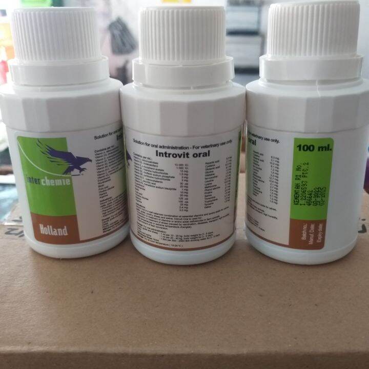 introvit oral 100 ml multivitamin dan asam amino ternak | Lazada Indonesia