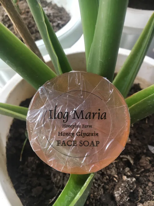 ILOG MARIA face soap honey glycerine face soap | Lazada PH