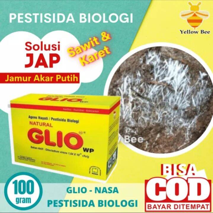 GLIO NASA Pestisida Pengendali Hama Perusak Akar Pengendali Jamur ... GLIO NASA Pestisida Pengendali Hama Perusak Akar Pengendali Jamur ...