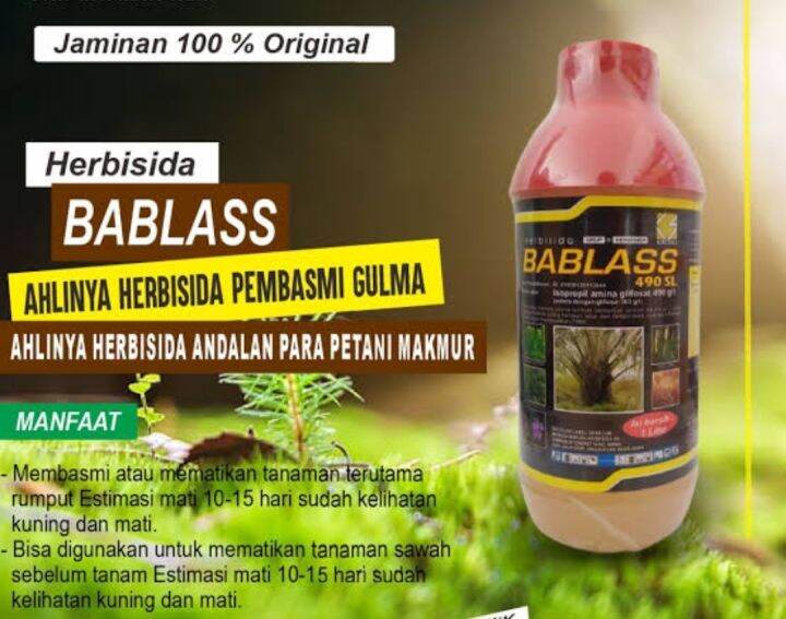 Herbisida Sistemik Bablass 490 SL Isi 1 liter, Basmi Gulma tuntas ...