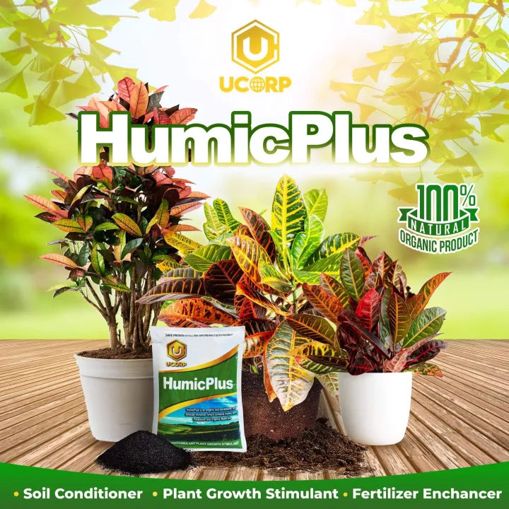 Humic Plus 100g. | Lazada PH