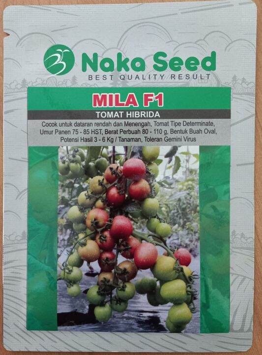 Benih Tomat MILA F1 5 Gram Naka Seed | Lazada Indonesia