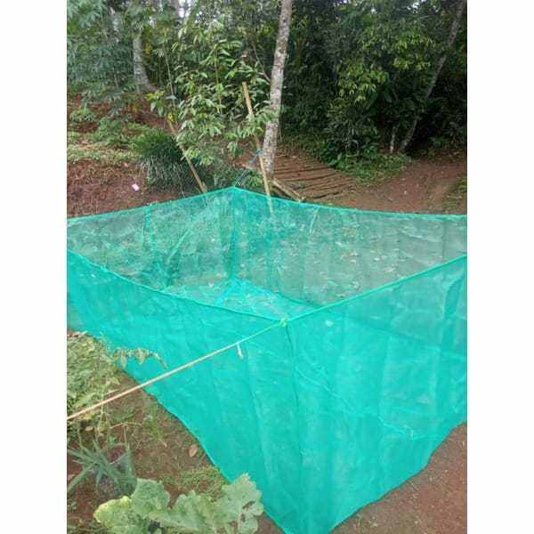 jaring keramba ikan ukuran 2m x 2m x 1m bahan kain kasa hijau cocok ...