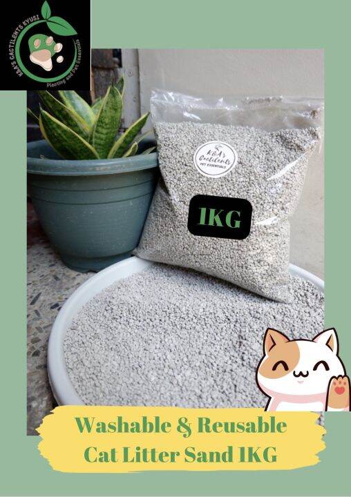 Washable & Reusable Cat Litter Sand 1KG | Lazada PH