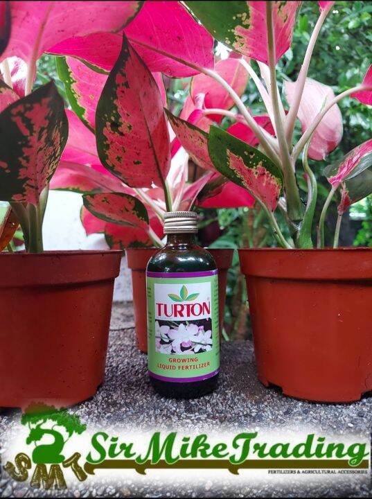 Turton Growing Liquid Fertilizer 120ml | Lazada PH