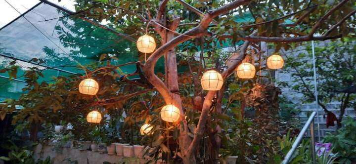 Capiz Shell Balls String Lights - 10pcs with Bulbs | Lazada PH