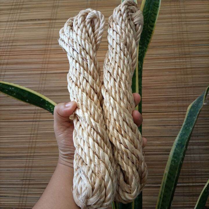 Abacca or Abaka Rope or Lubid Makapal 12ft | Lazada PH