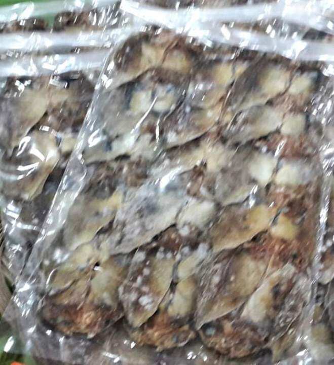 Bantayan, Cebu Unsalted Boneless Dried Danggit | Lazada PH